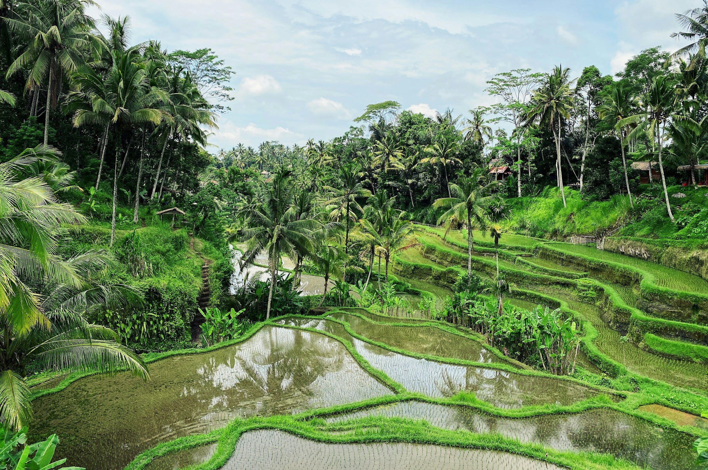 Bali Tours & Trips 2026 / 2027 | Group Tours & Trips to Bali
